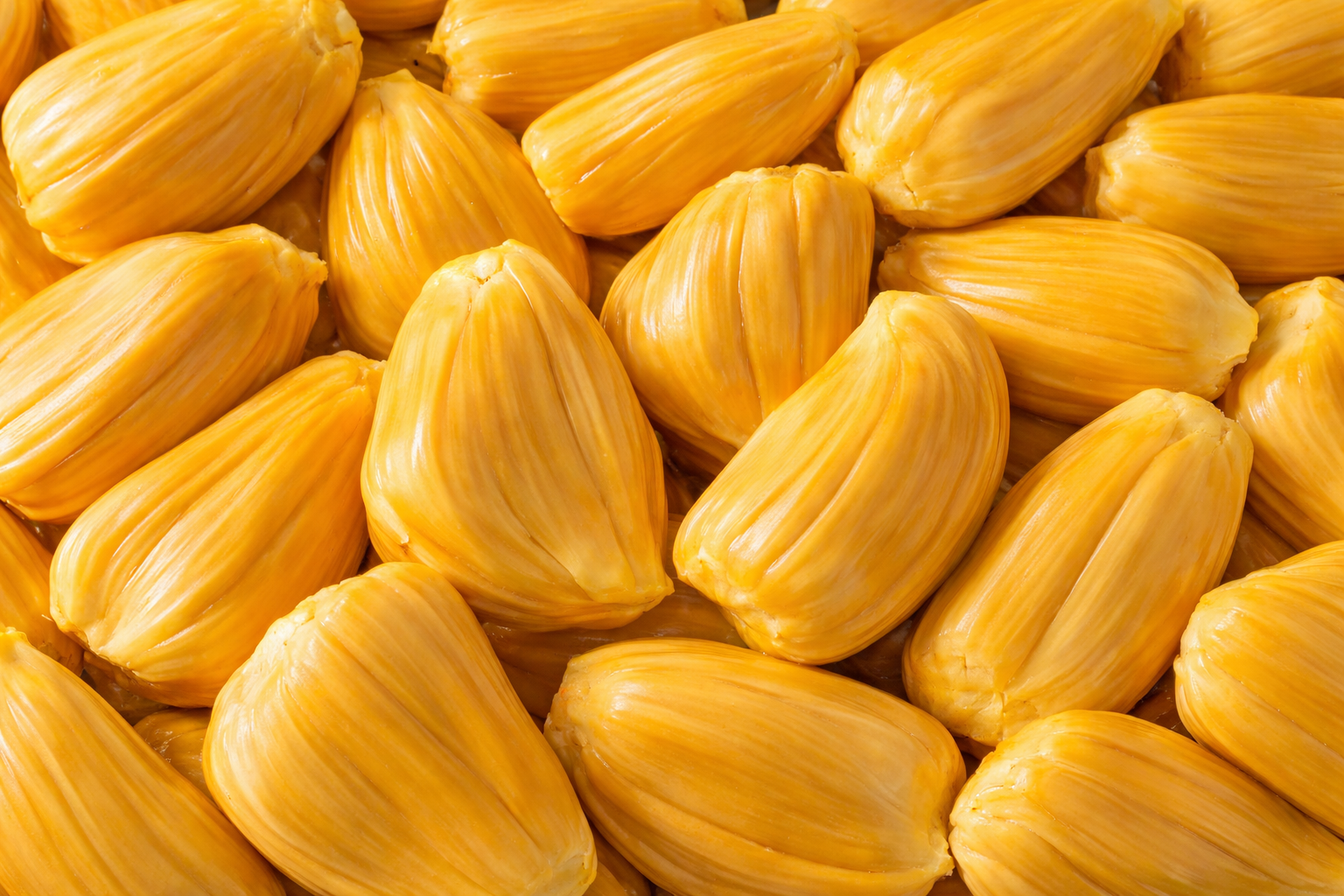 Jackfruit Chips | No Added Sugar | Zero Salt Fruit Snack ...